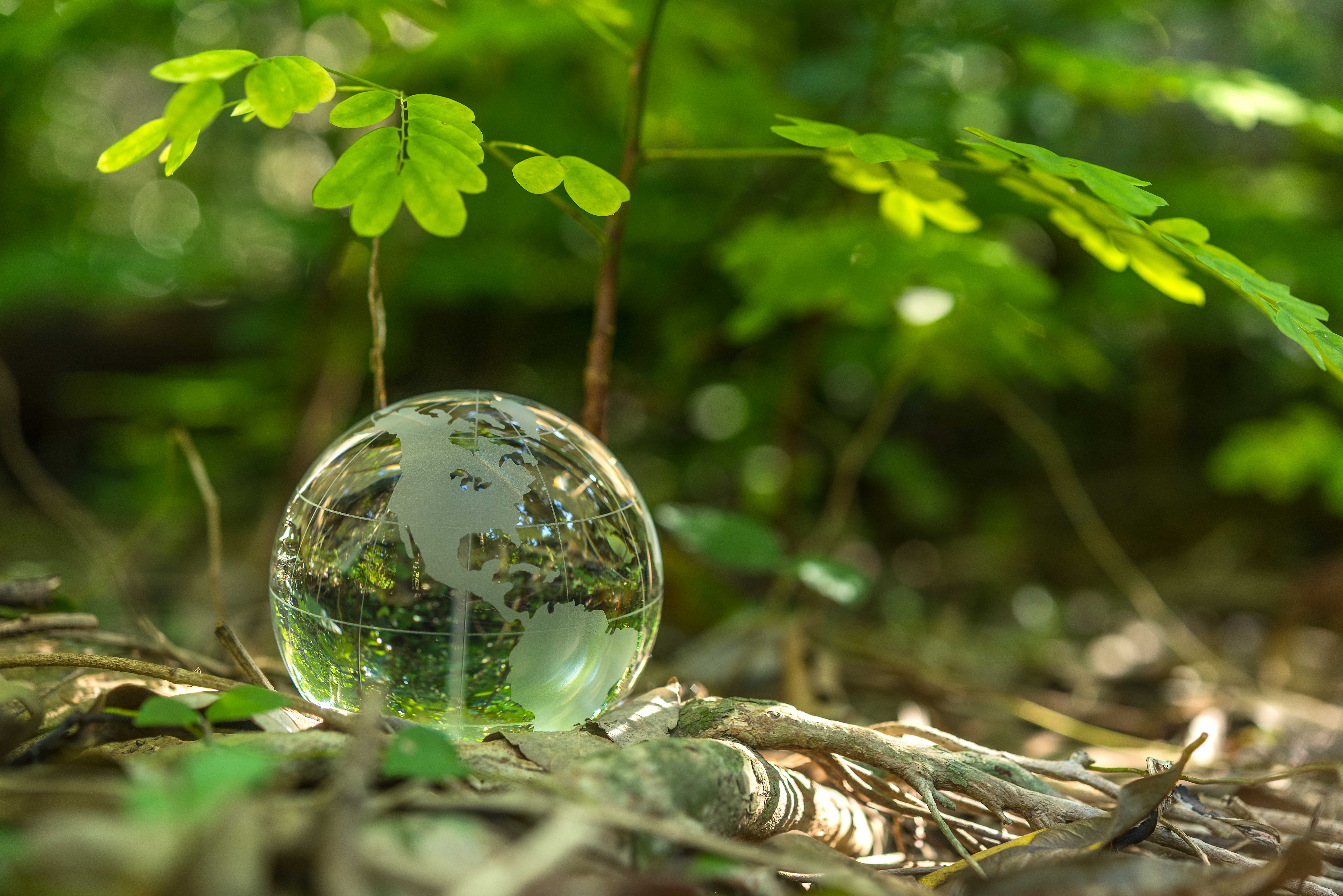 CADRA 2024 AGM & Open Meeting | What's On Reading