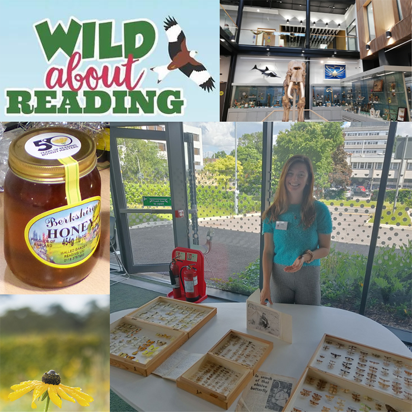 Cole Museum of Zoology – Wild About Reading | What's On Reading