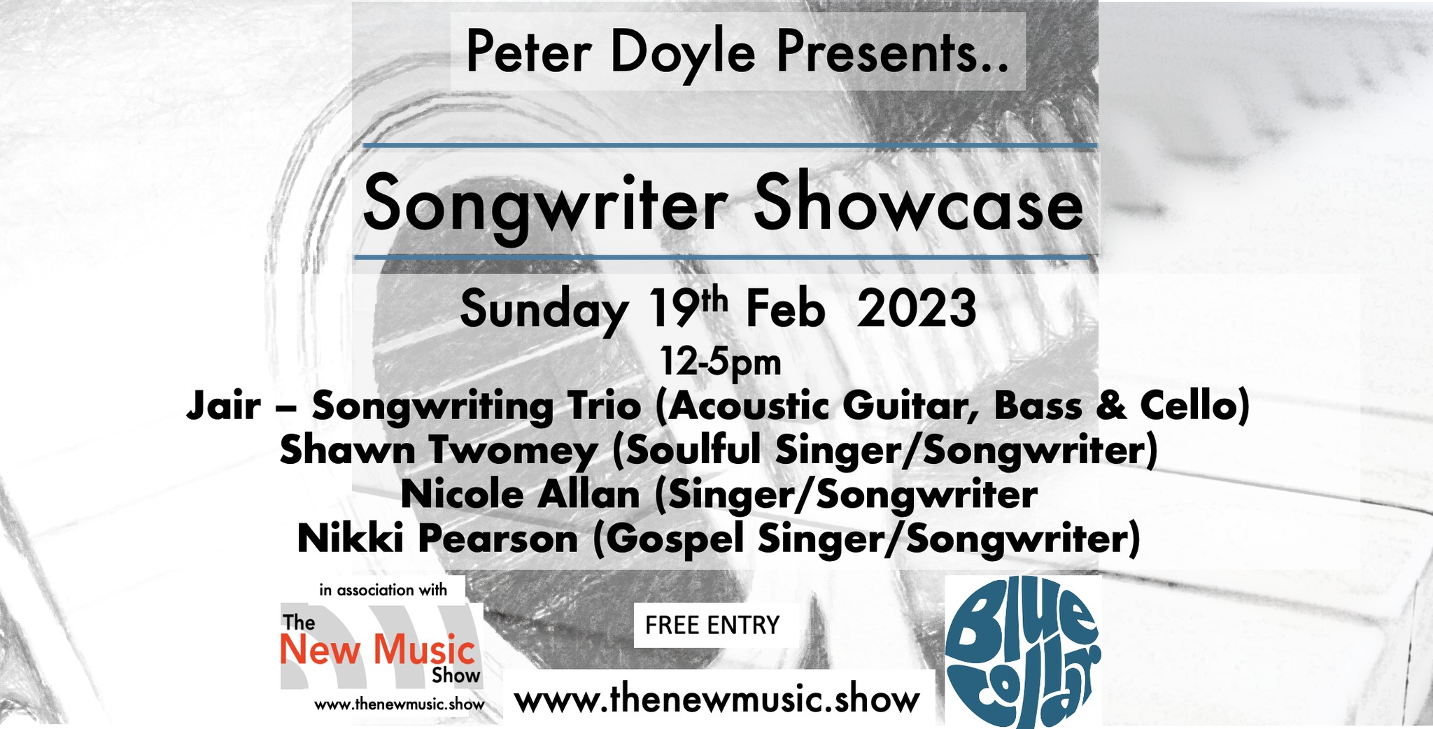 Peter Doyle Songwriter Showcase No.2 | What's On Reading