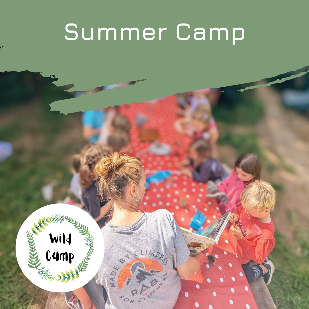 Wild Summer Camp | What's On Reading