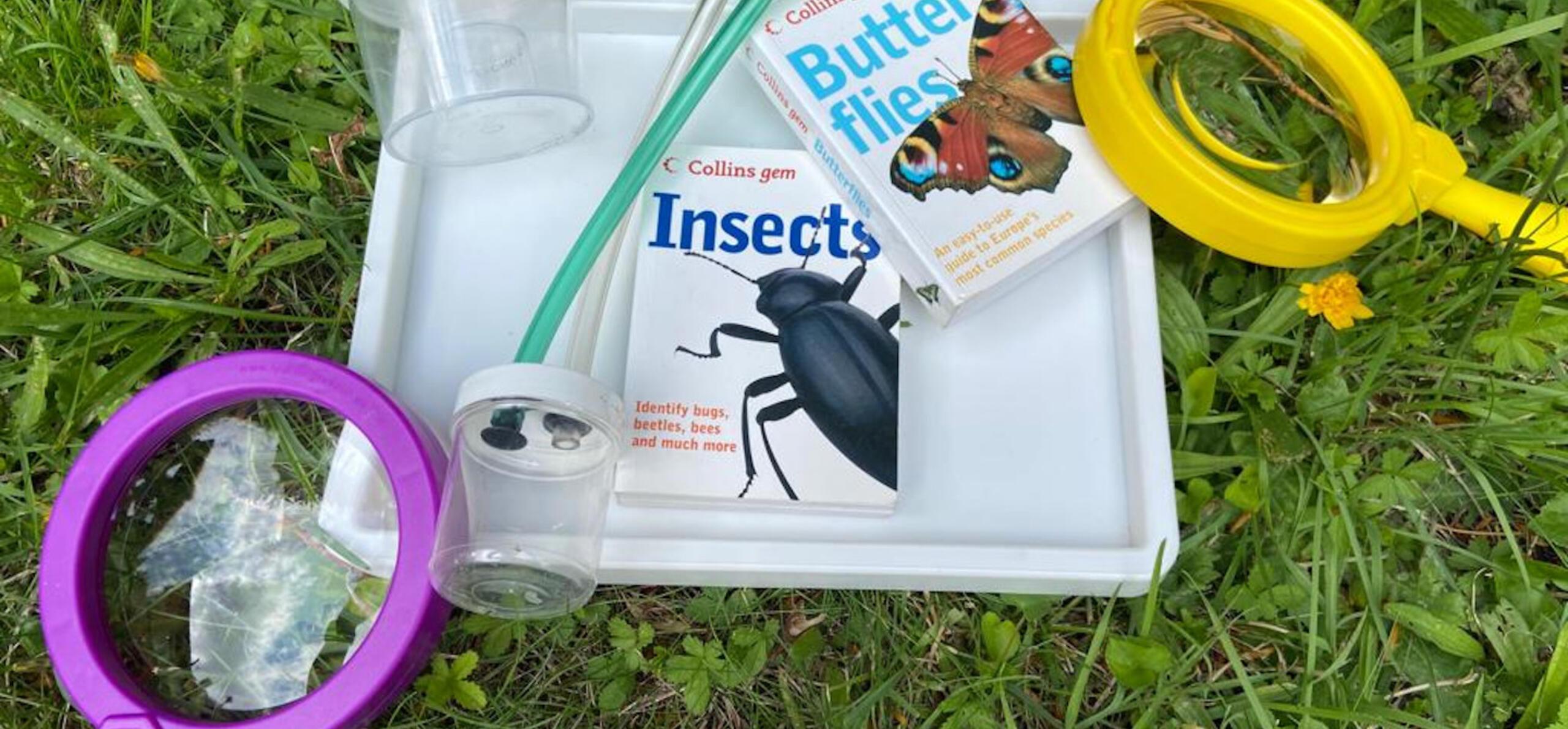 Bug Club: Creepy Crawly Crew | What's On Reading