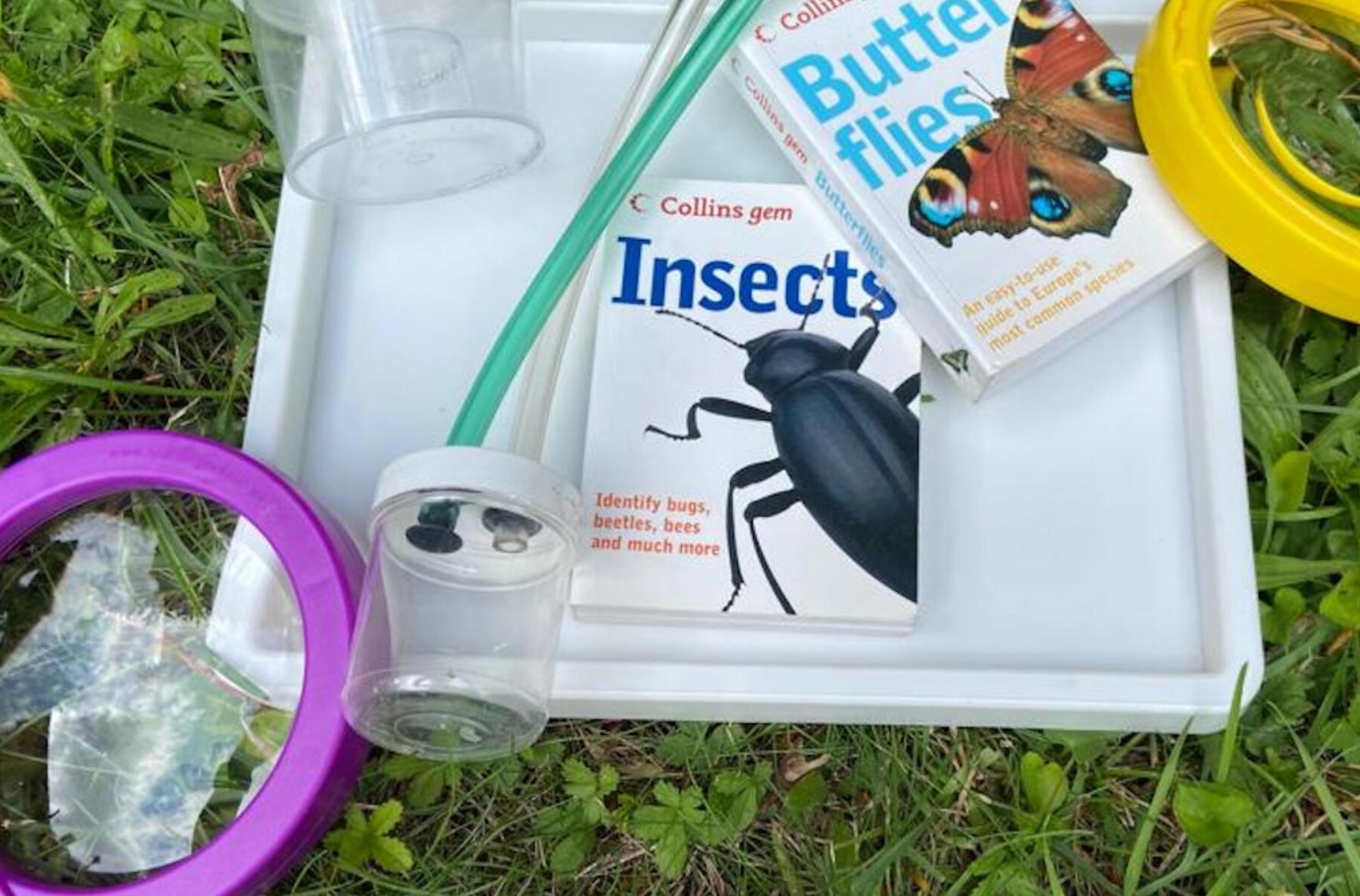 Bug Club: Creepy Crawly Crew | What's On Reading