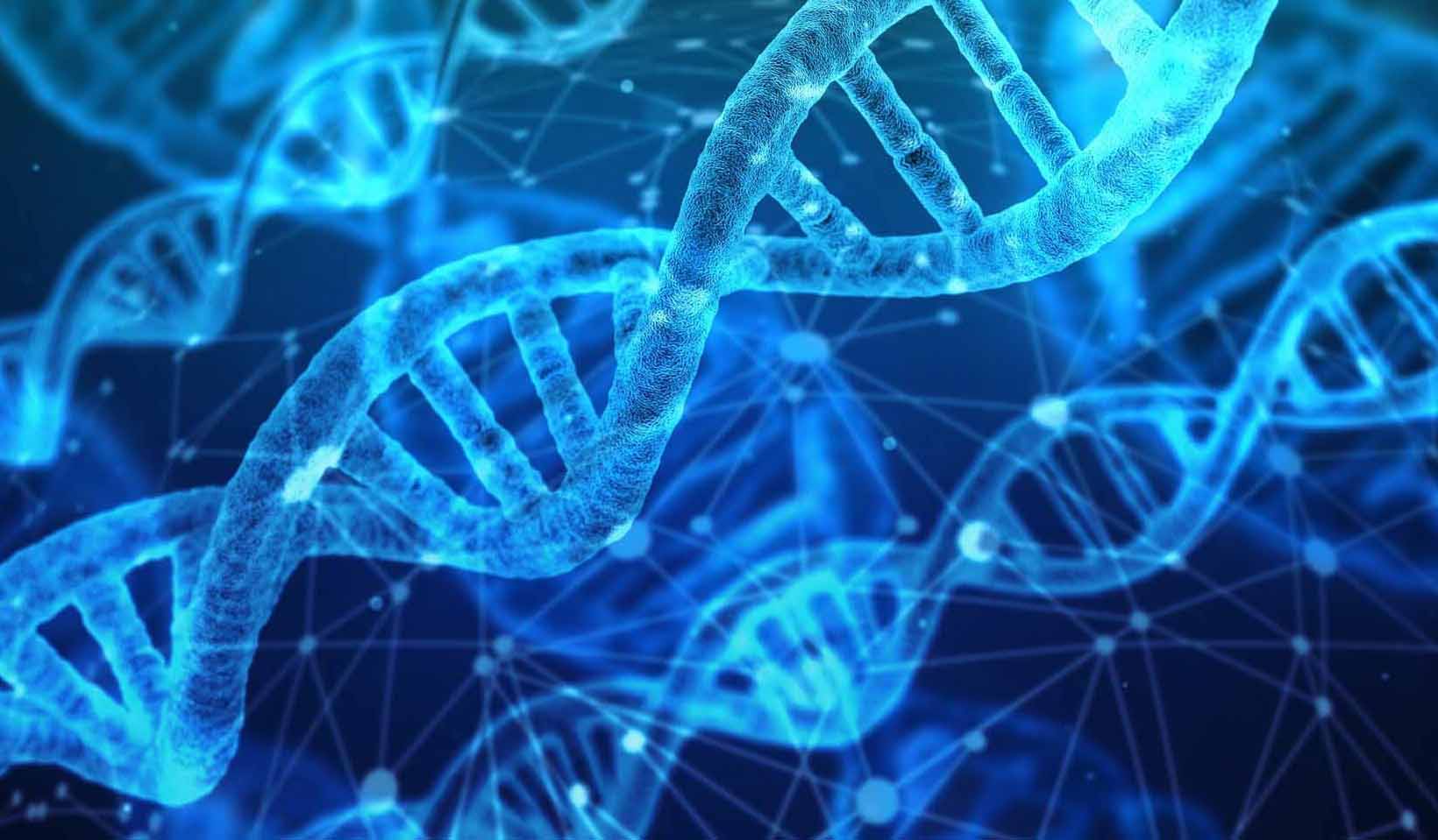 DNA Special Interest Group | What's On Reading