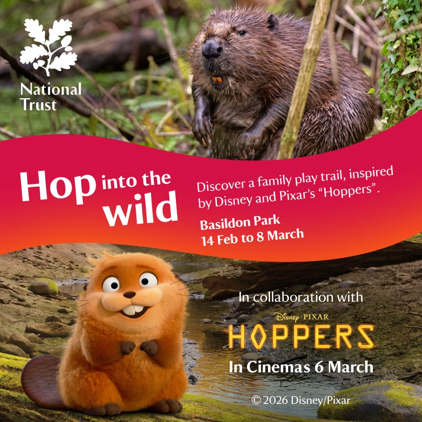 'Hop into the wild’ family trail | What's On Reading