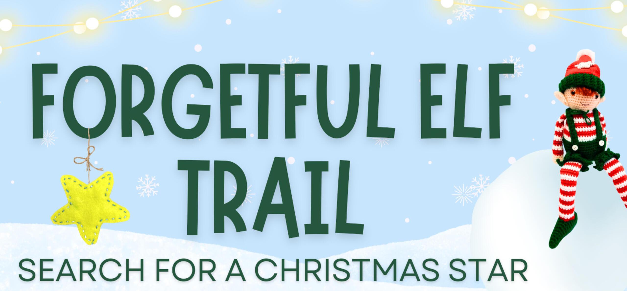 The Forgetful Elf's Search for a Christmas Star | What's On Reading
