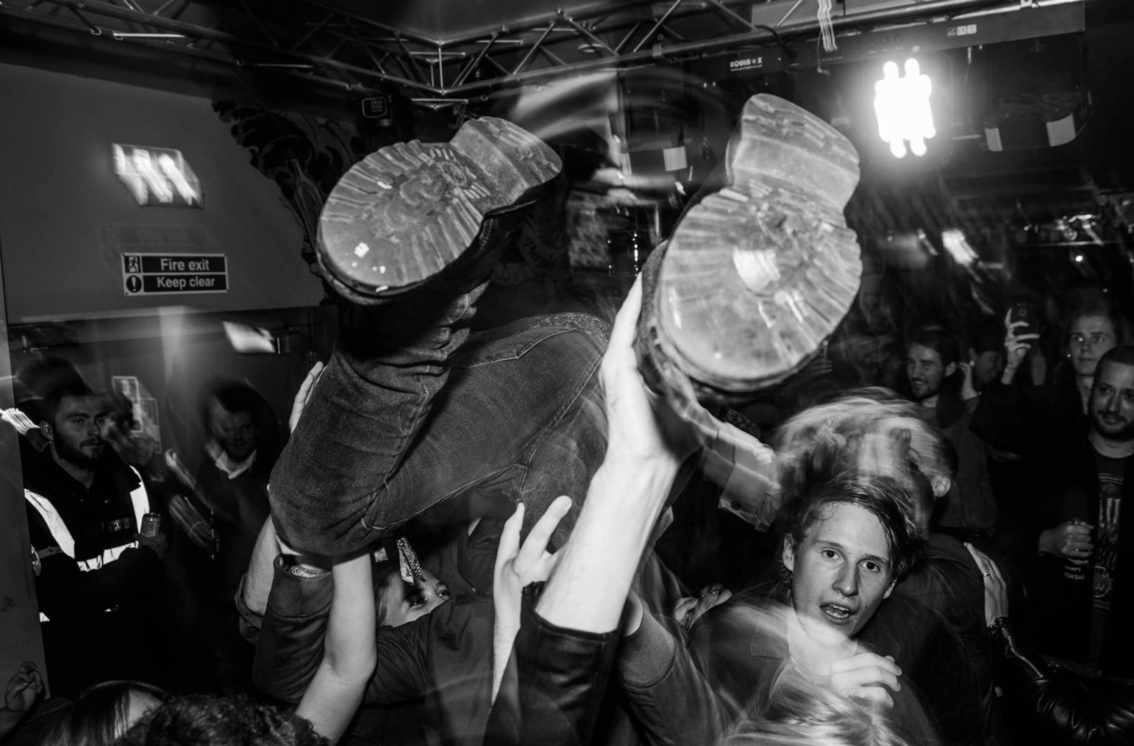 What's On at The Purple Turtle | What's On Reading