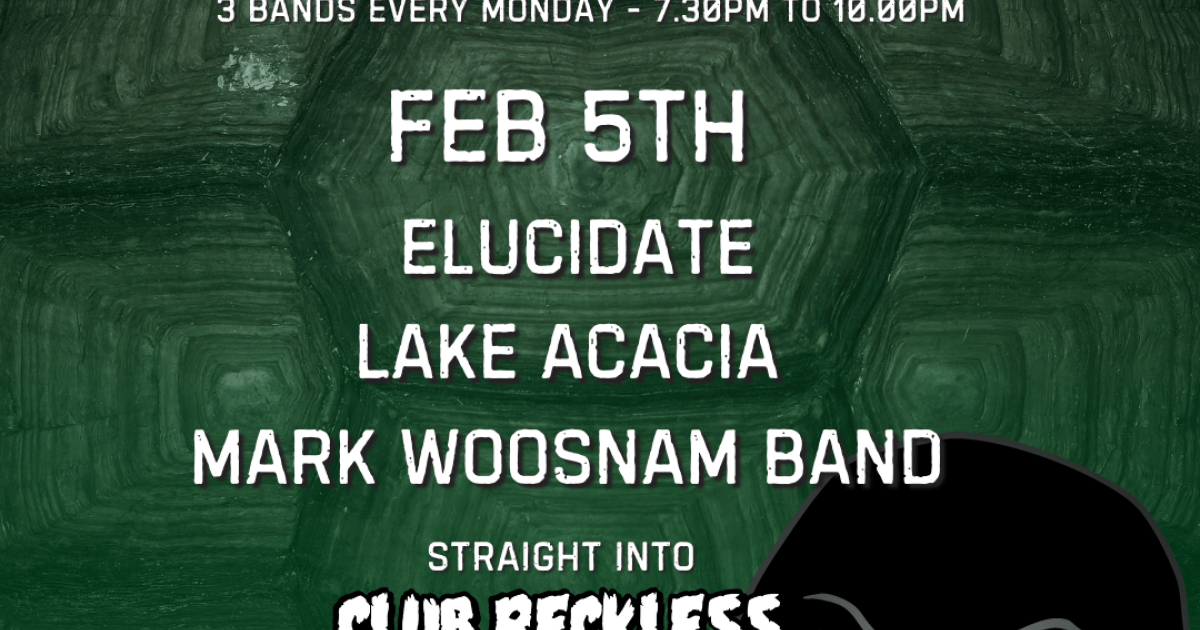 Turtle Underground | What's On Reading