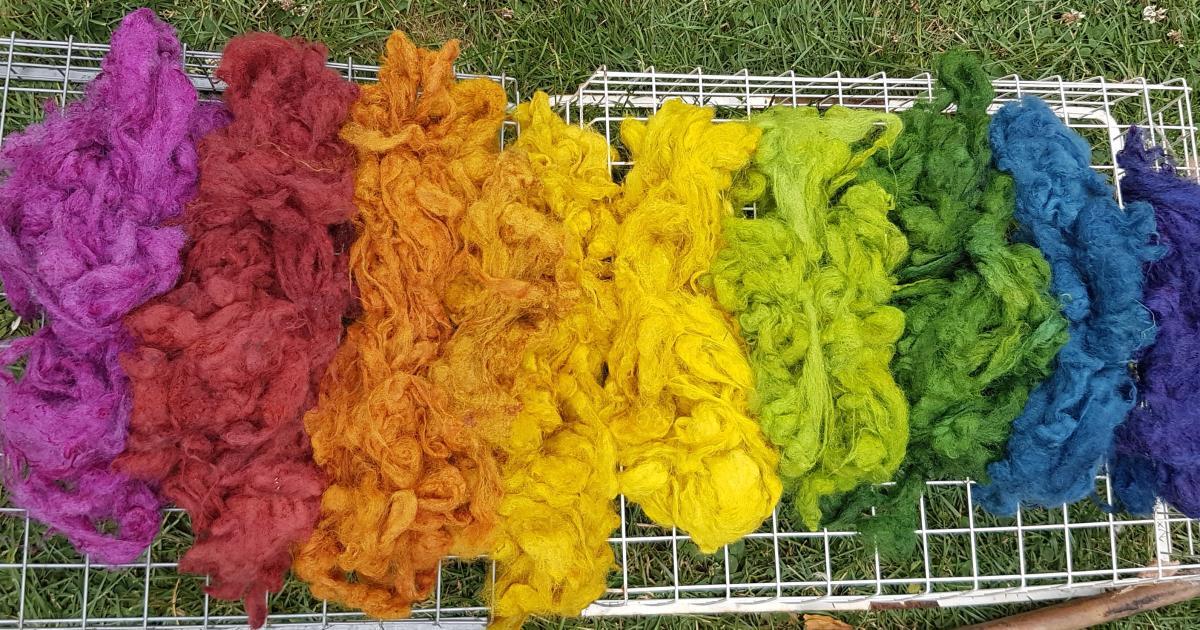 Introduction to Natural Dyeing and Wool Processing | What's On Reading