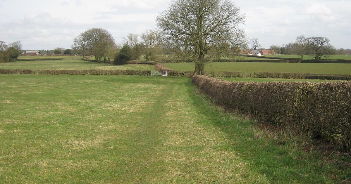 Enclosure Maps Workshop | What's On Reading