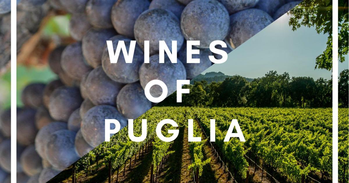 Wines of Puglia: exploring native grape varieties | What's On Reading