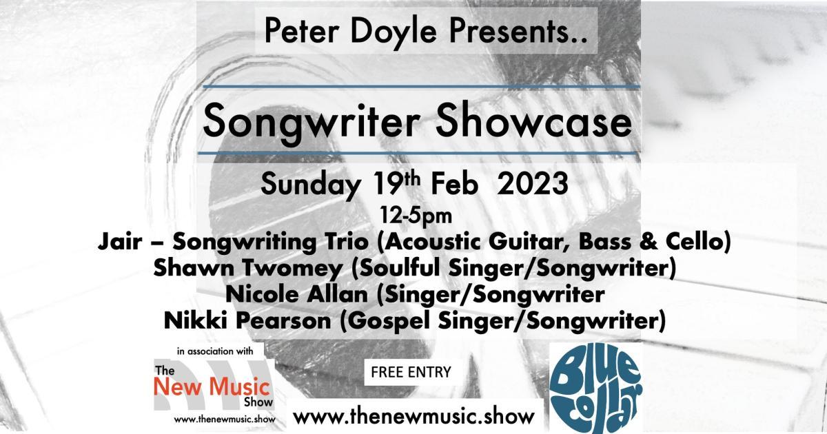 Peter Doyle Songwriter Showcase No.2 | What's On Reading