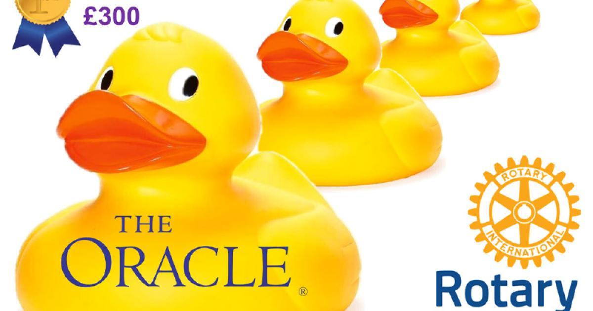 DUCK RACE at The Oracle Riverside | What's On Reading