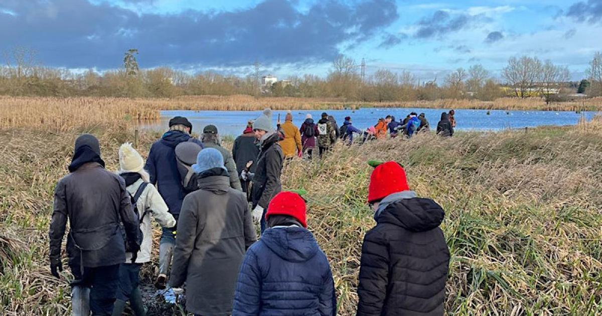 Massive Marshian stomp at Fobney Marsh | What's On Reading