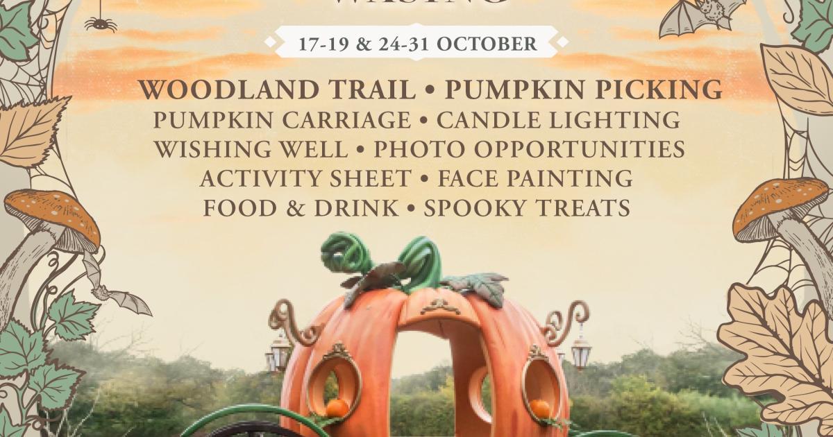 Wasing PYO Pumpkins & Woodland Trail Event 2025 | What's On Reading