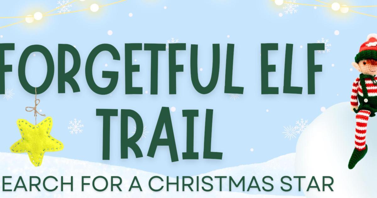 The Forgetful Elf's Search for a Christmas Star | What's On Reading