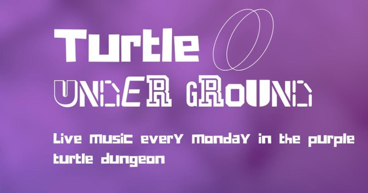 The Turtle Underground | What's On Reading